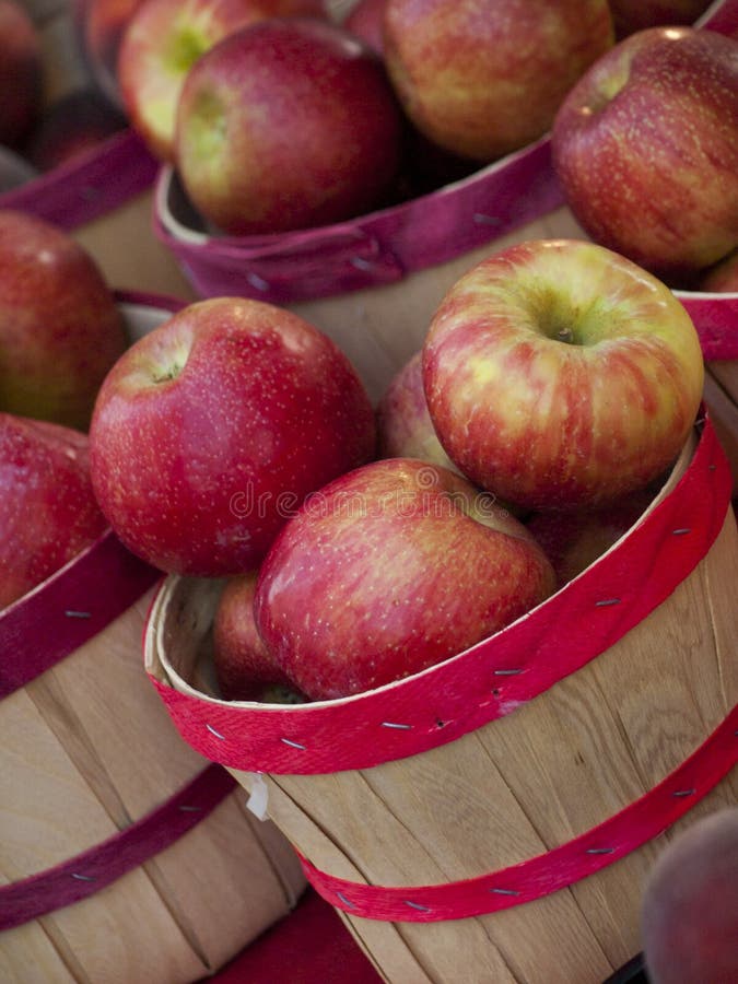 Apples stock image. Image of vegetabilis, healthy, long - 26646263