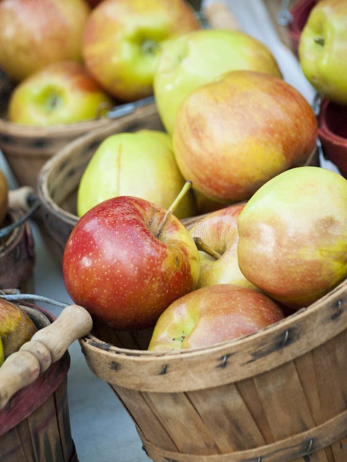 Apples stock photo. Image of nature, interior, ranch - 26646782