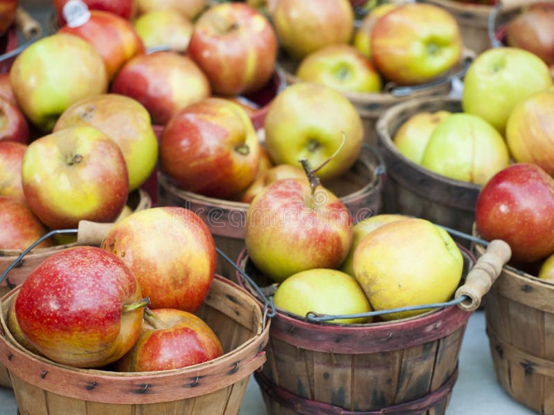 Apples stock photo. Image of healthy, farm, ranch, ripe - 26646818