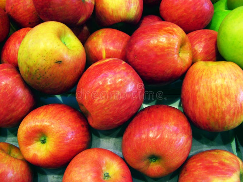 Fresh apples stock image. Image of food, shiny, choice - 23017011