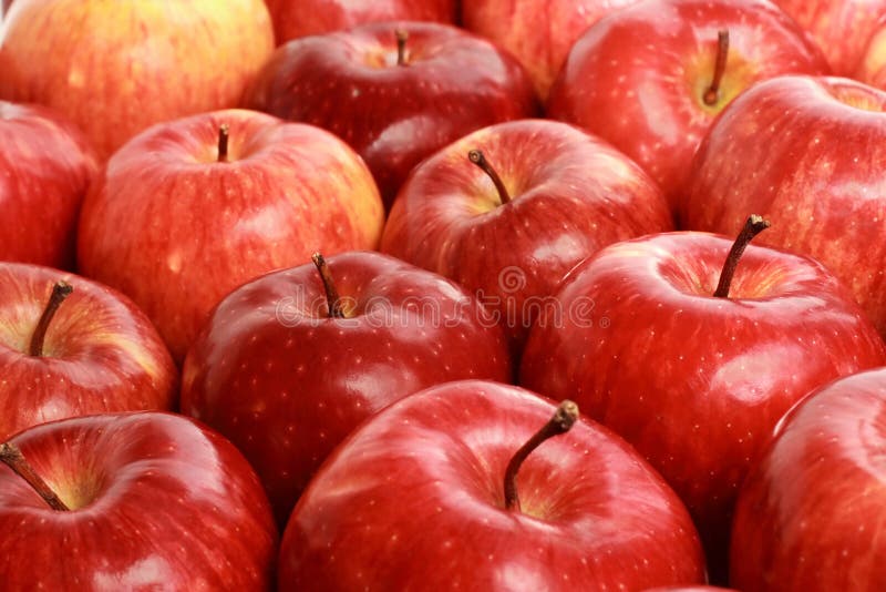 Fresh apples stock image. Image of food, shiny, choice - 23017011