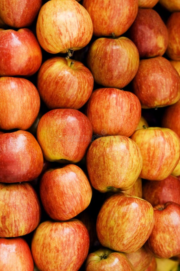 Apples stock photo. Image of juice, apples, tasty, fresh - 769272