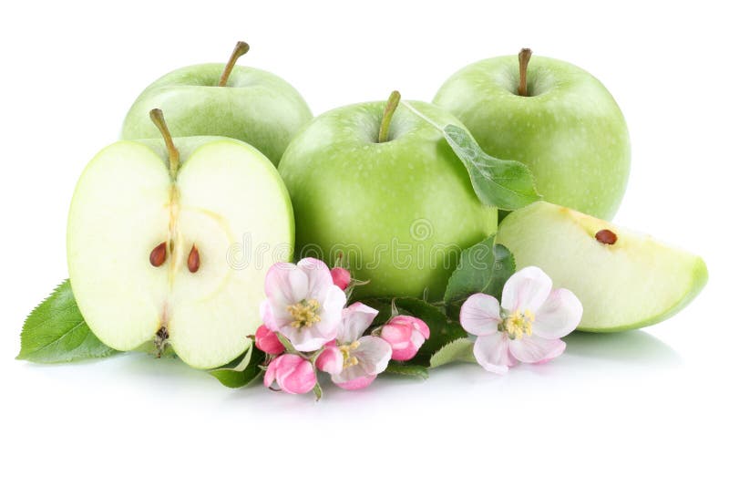 Apples Apple Fruit Fruits Top View Isolated on White Stock Image ...