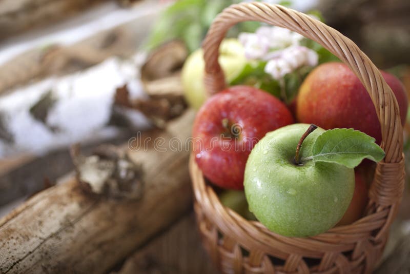 Apples in the Basket stock photo. Image of natural, crop - 31720366