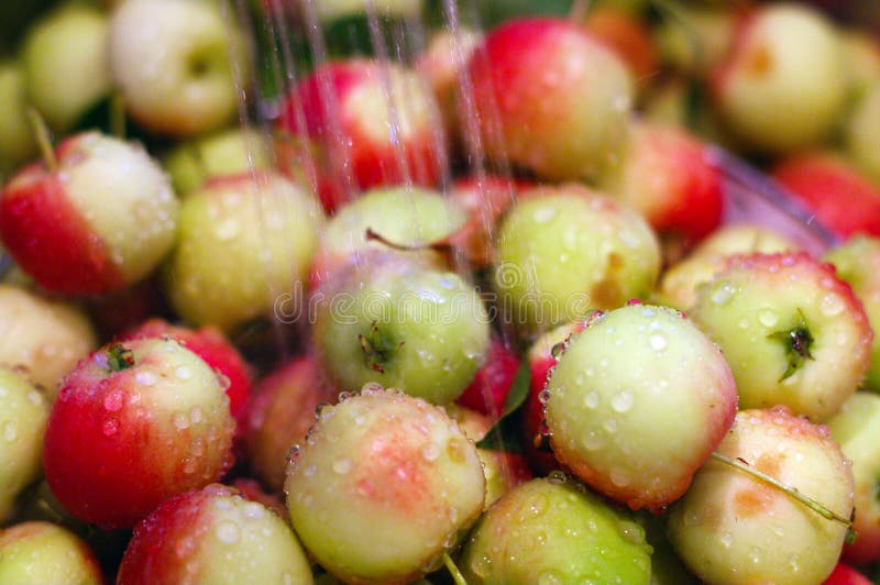 Apples being washed stock image. Image of green, apples - 99633497