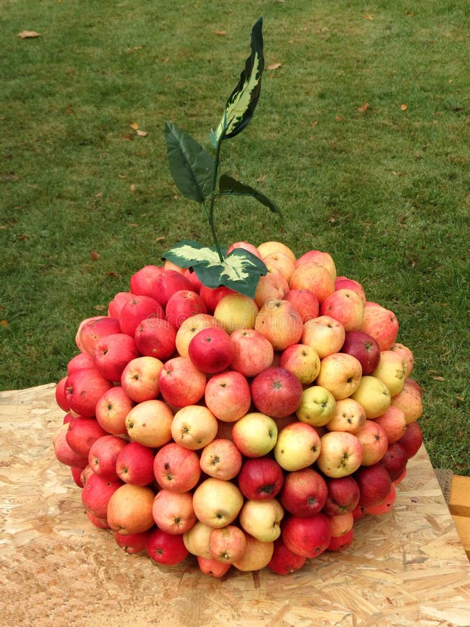 Apples stock photo. Image of round, vegetable, shape - 34706508