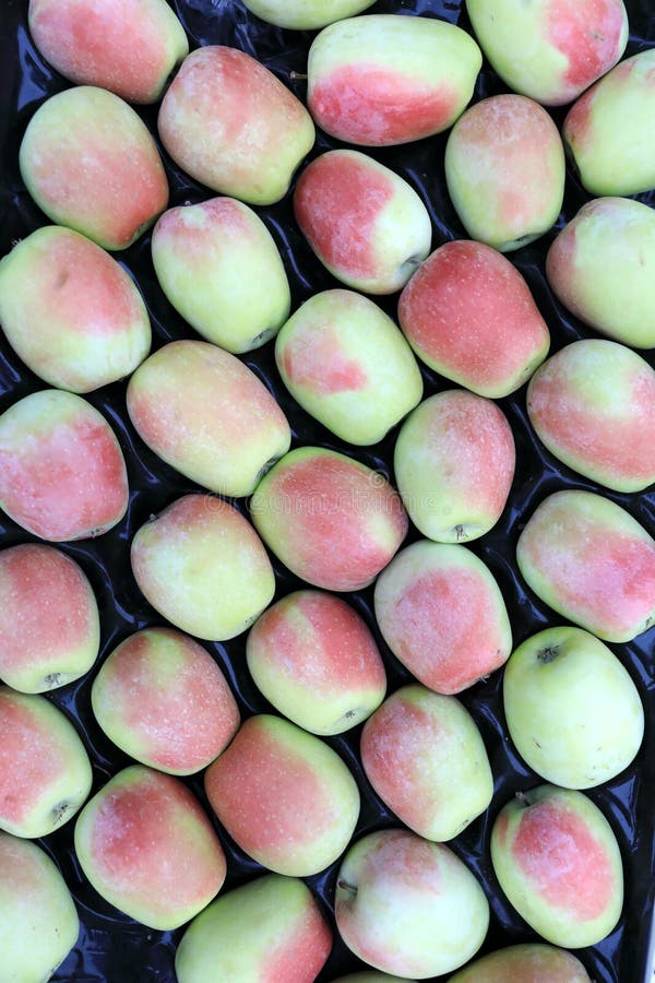 Apples in box stock image. Image of harvest, picked - 130325989