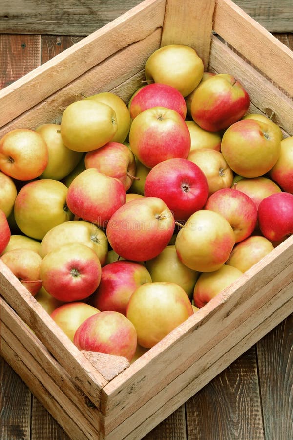 Apples in a box. stock photo. Image of nature, vintage - 54880316