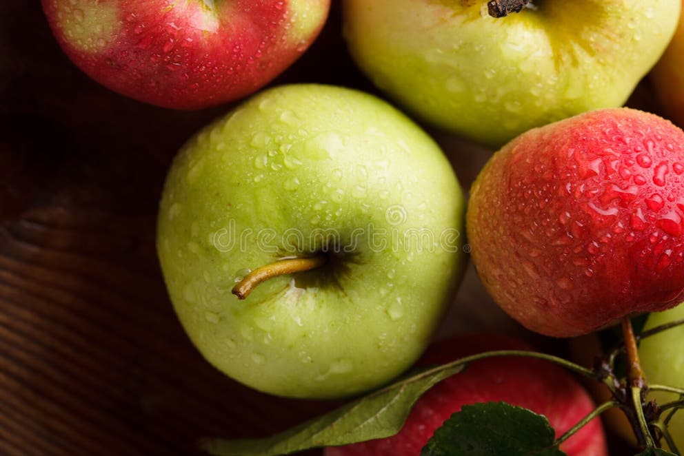 Apples crop stock photo. Image of pure, freshness, healthcare - 21287958