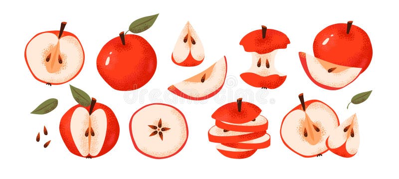 Apples in Different Forms, Slice, Whole, Core Isolated on a White ...