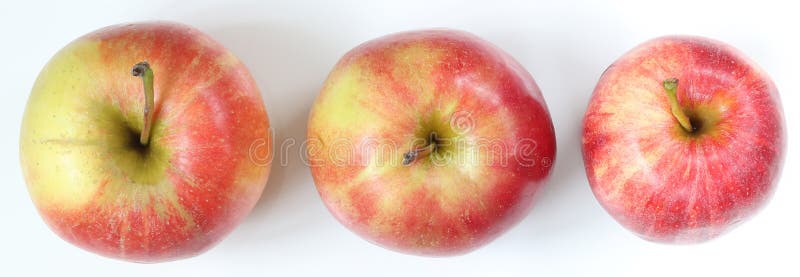 Apples of Different Varieties. Stock Photo - Image of apples ...