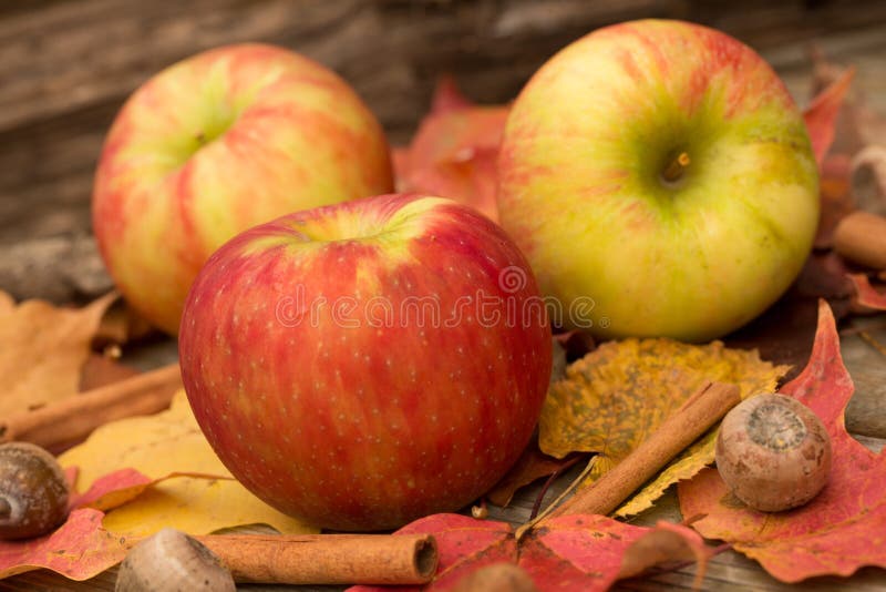 Apples and Fall Leaves stock image. Image of plant, autumn - 38362751