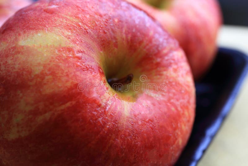 Apples stock photo. Image of natural, droplets, fresh - 83409738