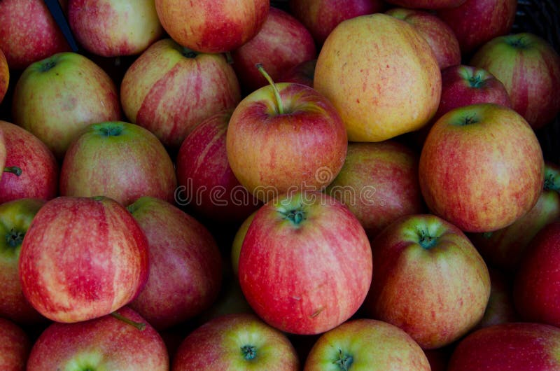 Apples stock image. Image of food, multiple, apples, cluster - 33568861