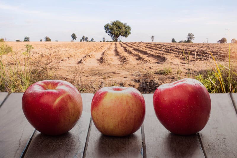 Apples Fresh on Wooden Floor. Stock Image - Image of harvesting ...