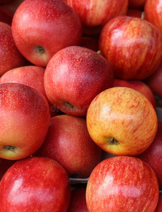 Apples in a Fruit Shop. Lots of Apples Stock Photo - Image of ripe ...