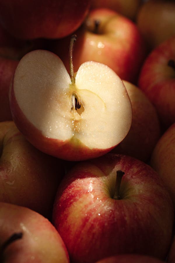 Apples Fruit. Vertical View of Several Fresh and One Cut Apple in Shade ...