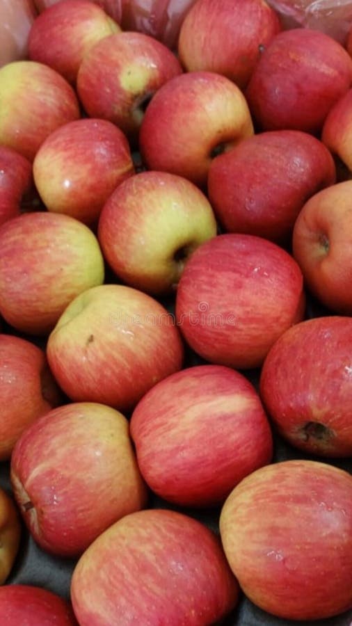 Apples Gala Apples Goodness Fresh Healthy Stock Photo - Image of fresh ...