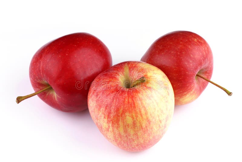 Apples Gala Grade Red White Background Stock Photo - Image of food ...
