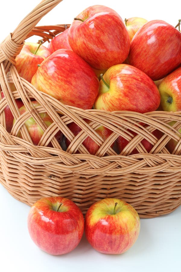 Apples from garden stock photo. Image of snack, wicker - 26598172