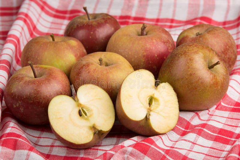 Apples stock image. Image of healthy, sweet, agriculture - 46549337