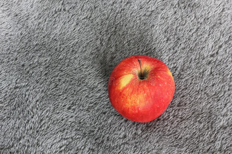 Apples on a Gray Background. Apple Still Life Stock Photo - Image of ...