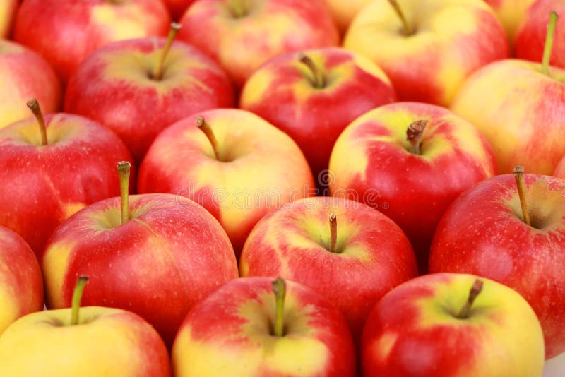 Apples - Group of Fresh Red Natural Apples Stock Image - Image of color ...