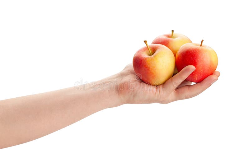 Apples in hand stock photo. Image of fruit, stem, nutrient - 301956790