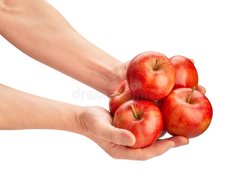 Apples in hand stock image. Image of fresh, ripe, hand - 324954453