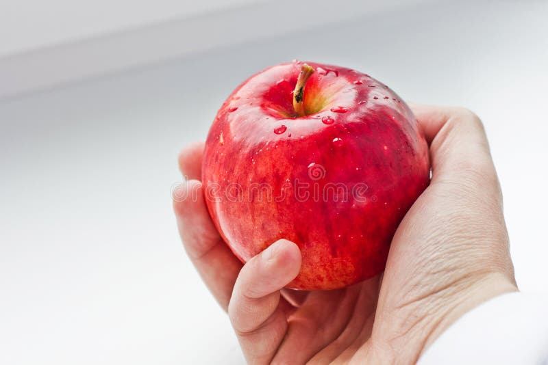 Apples in hand close-up stock photo. Image of farm, garden - 137834220