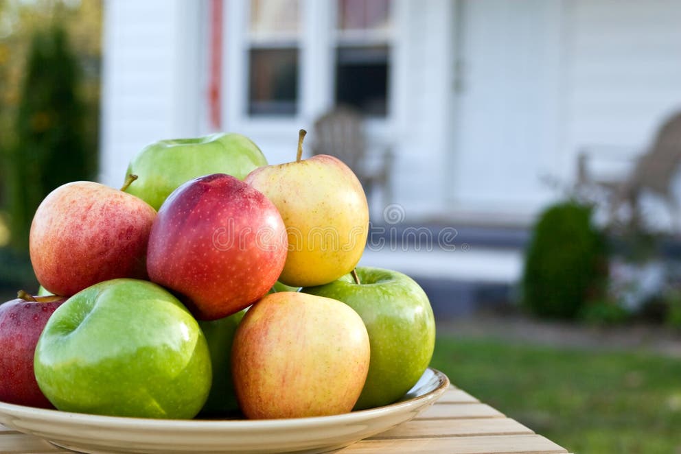 Apples at Home stock photo. Image of fruit, colorful, color - 6719954