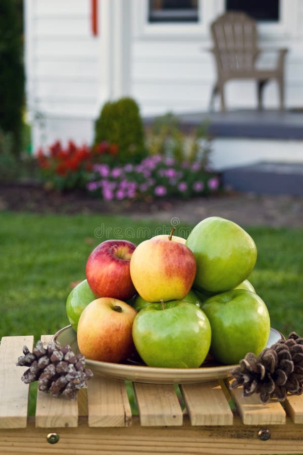 Apples at Home stock image. Image of color, green, colours - 6720053