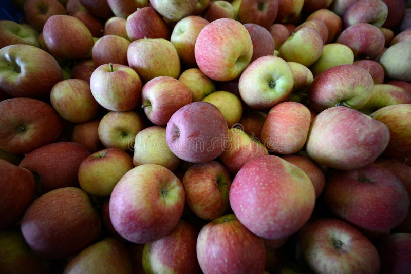 Apples stock photo. Image of drink, apple, close, individuality - 45725474