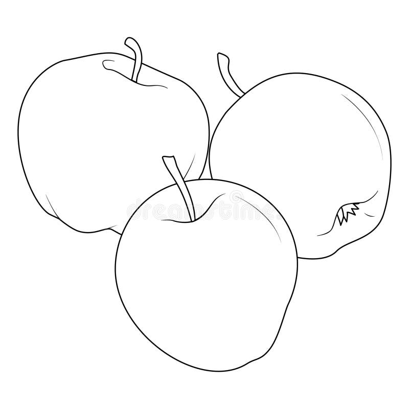 Apples Line Drawn on a White Background. Vector Sketch of the Fruit ...