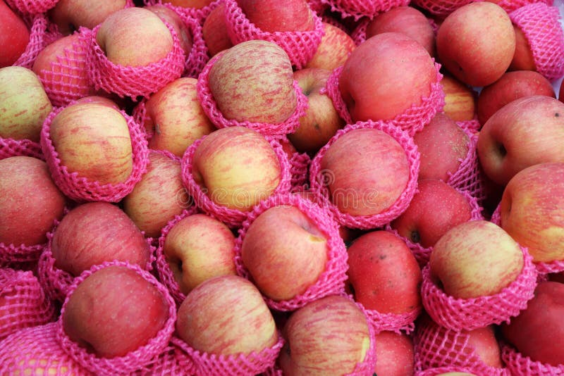 Apples. Lots of Apples in a Fruit Shop Stock Image - Image of tree ...