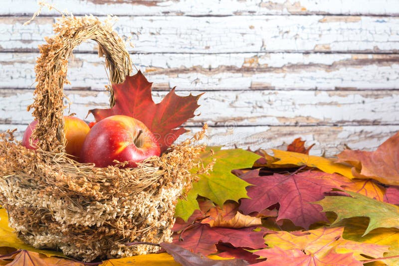 Apples and Maple Leaves in a Basket Stock Image - Image of orange ...