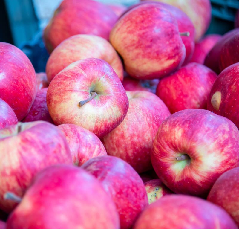 Apples at the Market Display Stall Stock Photo - Image of marketplace ...
