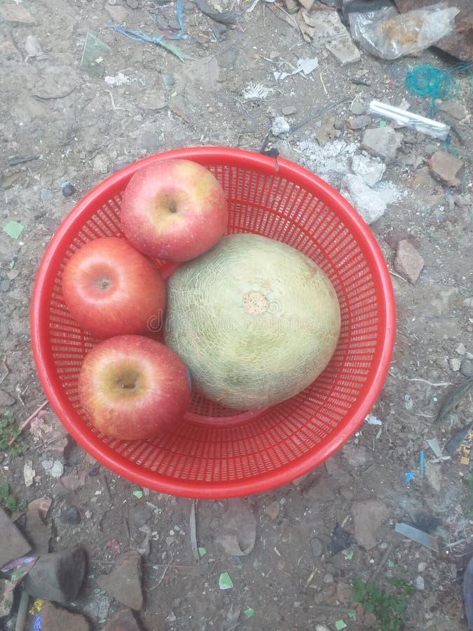 3 Apples and 1 Melon on a Platter Ready To Serve Stock Photo - Image of ...