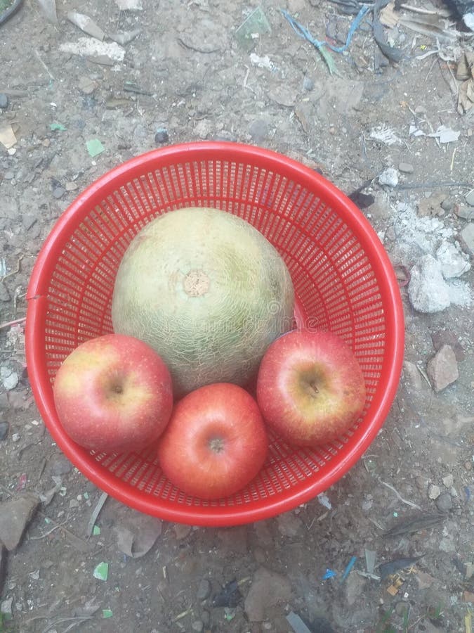 3 Apples and 1 Melon on a Platter Ready To Serve Stock Image - Image of ...