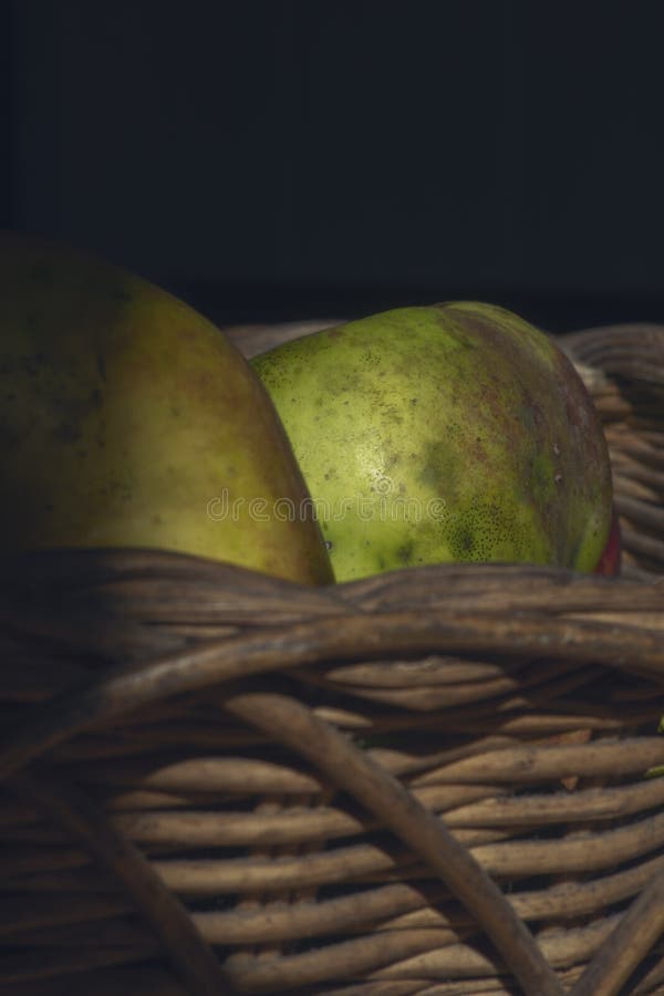 Apples with natural light stock photo. Image of countryside - 235581146