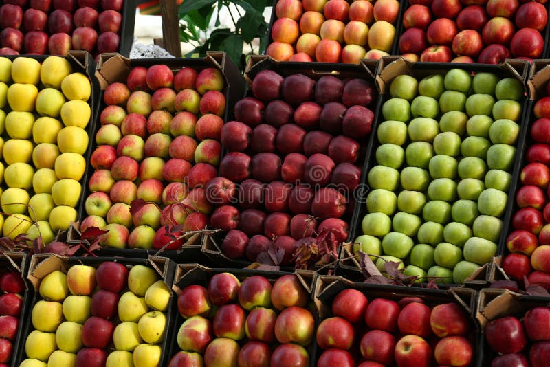 Apples in Papper Boxes, Fresh Organic Market Stock Photo - Image of ...