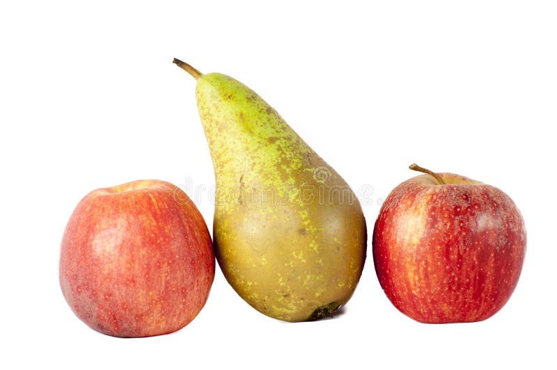 Yellow pears on pear tree stock image. Image of healthy - 21001121