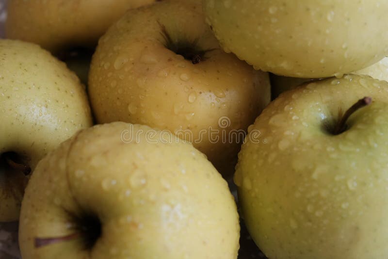Apples on a Plate on the Table in the Kitchen. Chauntecleer Apples ...