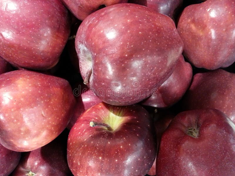 Apples stock photo. Image of apples, grocery, display - 54235870