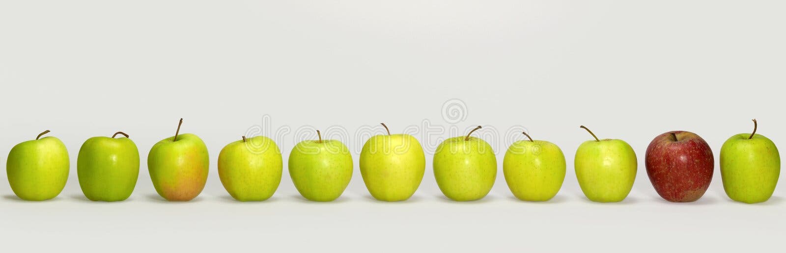 Apple Core among Whole Apples Stock Photo - Image of copy, choice: 4152806
