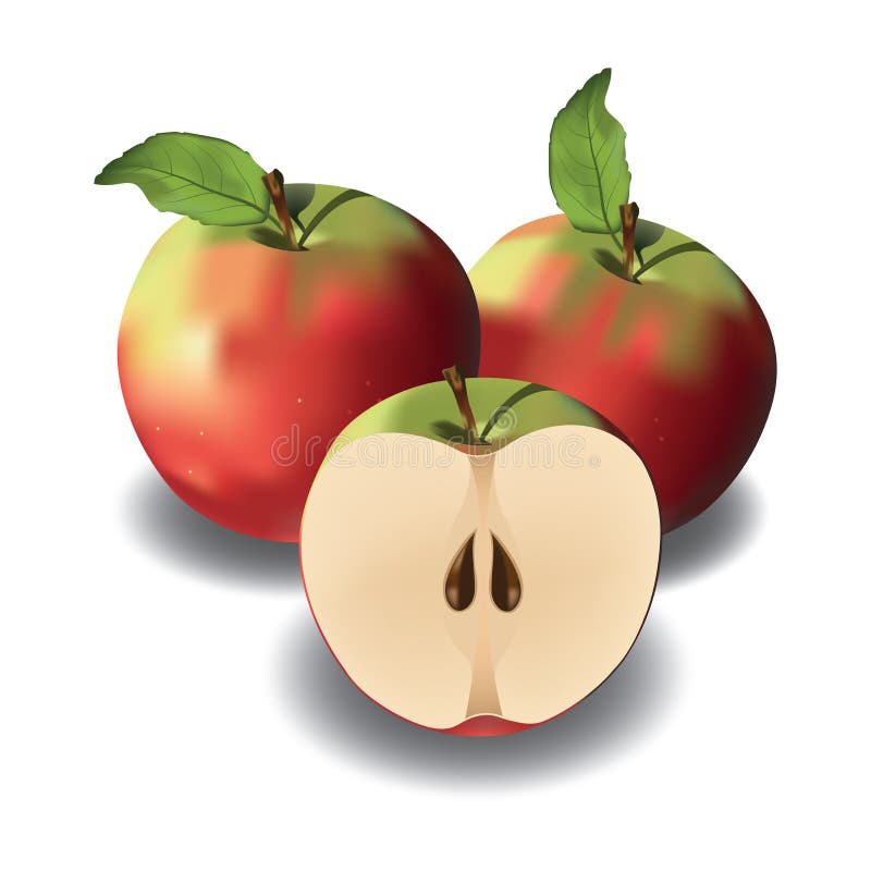 Apples with Slice. Vector Illustration Decorative Design Stock Vector ...