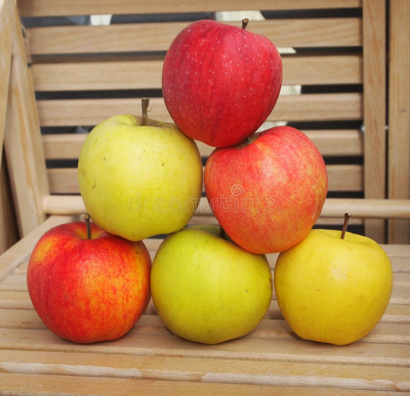 Apples stock photo. Image of agriculture, fruits, garden - 35020658