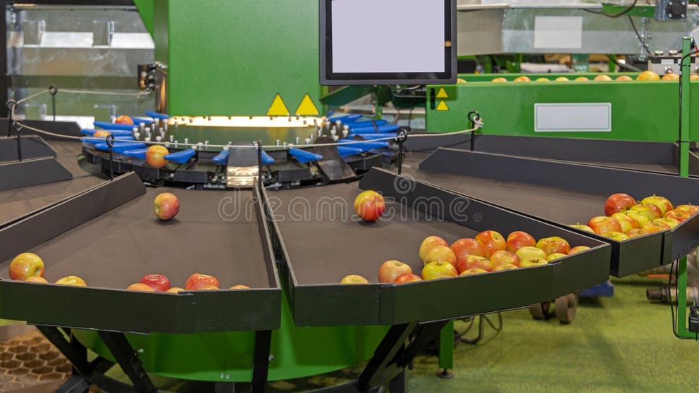 Apple Electronic Weight Sorting Grading Machine Stock Photos - Free ...