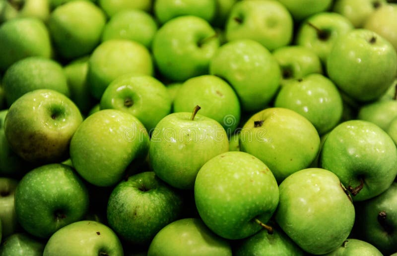 Apples sorting and packing stock image. Image of farm - 91068297
