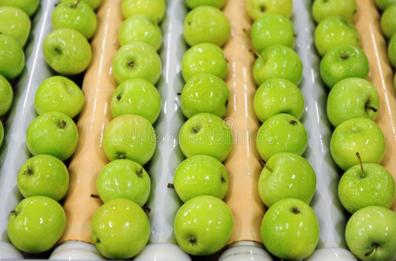 Apples sorting and packing stock image. Image of plant - 91068351